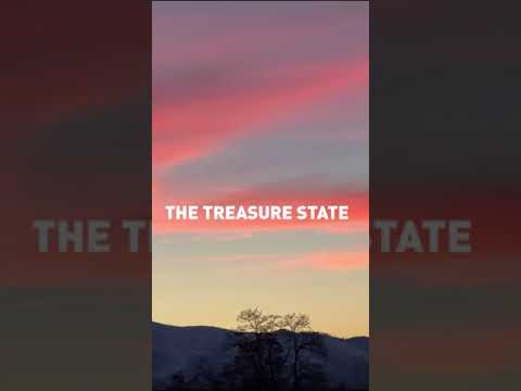 Happy 406 Day, Montana!