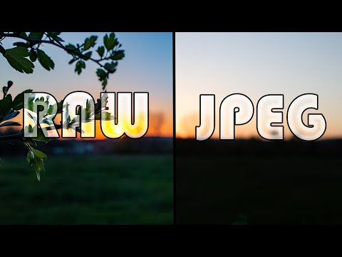 RAW vs JPEG: What are the differences?