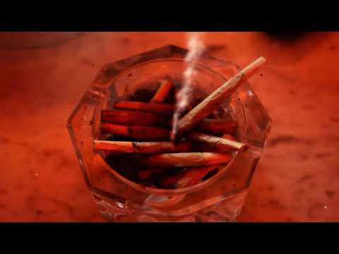 2 Chainz, Lil Wayne - Long Story Short (Visualizer)