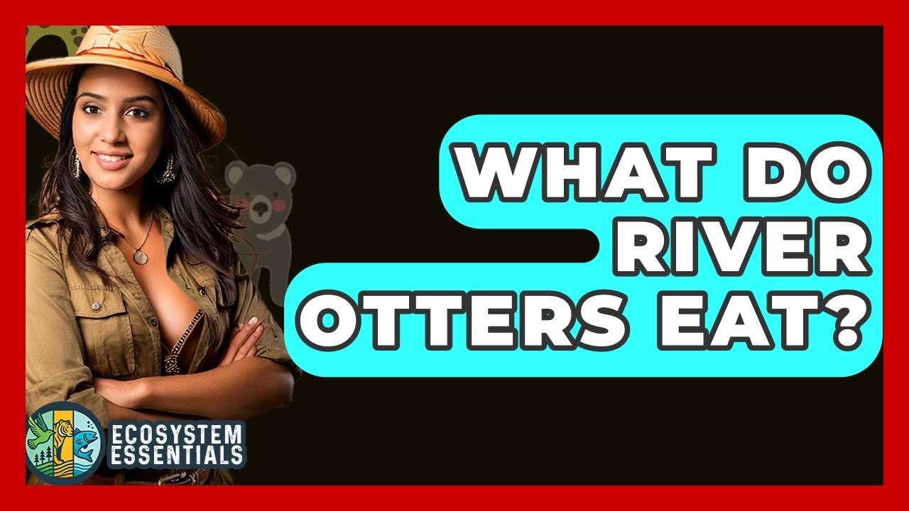 What Do River Otters Eat? - Ecosystem Essentials
