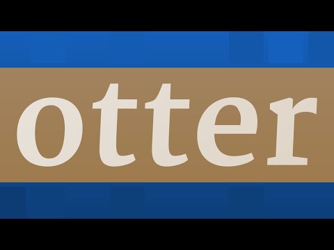 OTTER pronunciation • How to pronounce OTTER