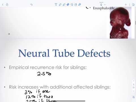 Lecture 6 multifactorial inheritance