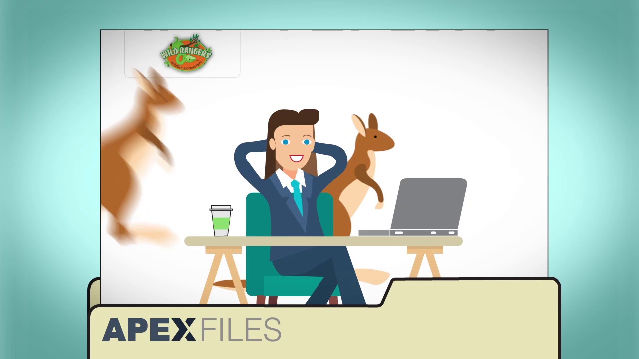 Apex Strategy Case Studies