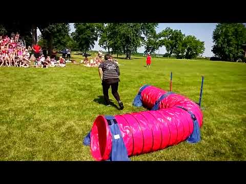 Andy puppy demo with Performance Dogs of Ohio.