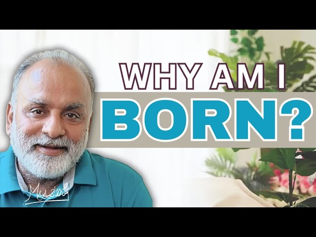 Exploring the Purpose of Life: Why Am I Born? | Galaxy.ai