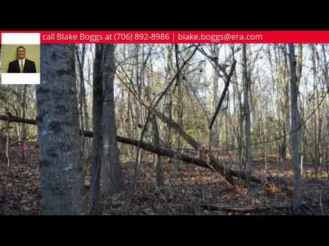 Lot 1 Knottington Woods, Cleveland, GA 30528 - MLS #8109662