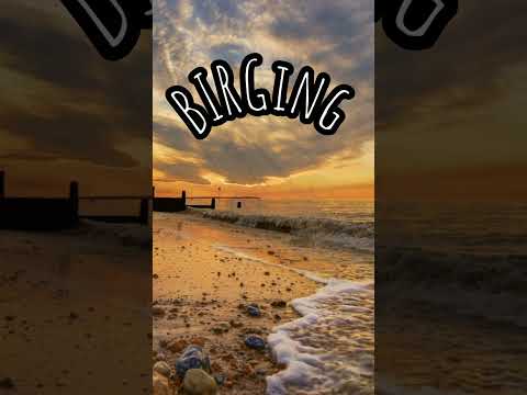 Basking in reflected glory (BIRGing)