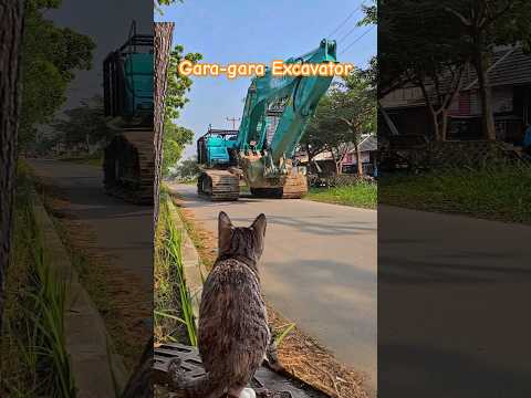 Gara-gara excavator kucing kaget #excavator #kucing #kucingkaget #shorts