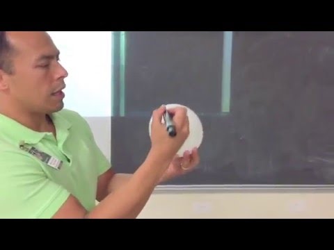 McFarland -Expanding Ballooniverse Lab