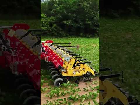Präzisionshackgerät HS 6012 auf Demo-Tour in Frankreich