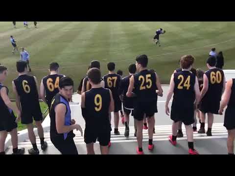 Scopus 2019 Weekly Sport Highlights