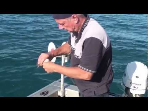 Long Line Fishing For Snapper Floating Bead Traces