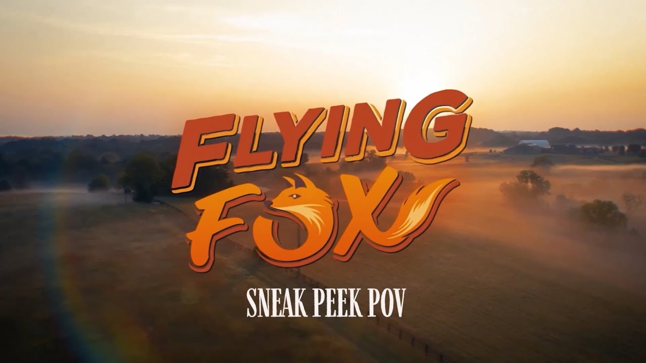 Flying Fox Sneak Peek POV 🦊🎢