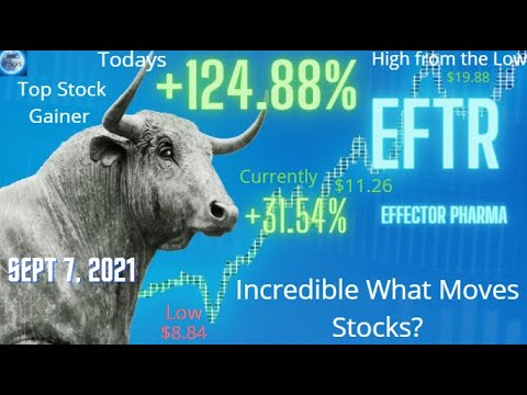 Sept 7, 2021 - EFTR eFFECTOR Pharma (+127.88%) High from the Low Today - #epicstocks