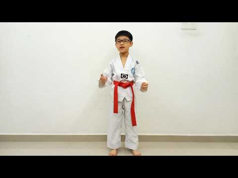 Darius Taekwondo 40 Steps Demo