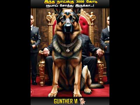 WORLD'S RICHEST GUNTHER VI GERMAN SHEPHERD DOG || IN TAMIL || MIC LA SOLLU