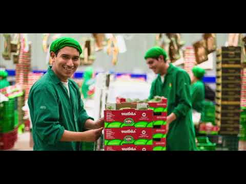 Fresh Produce India 2023 Sponsor - The Westfalia Fruit Group