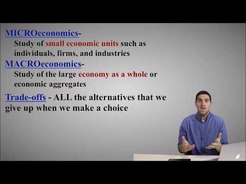 Micro and Macro economics, trade-offs and oportunity cost