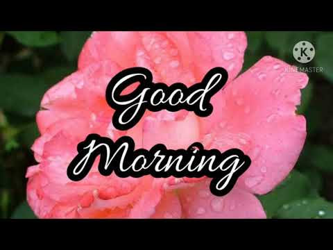 Good morning images pics gifs hd wallpaper photos and videos for social sharing