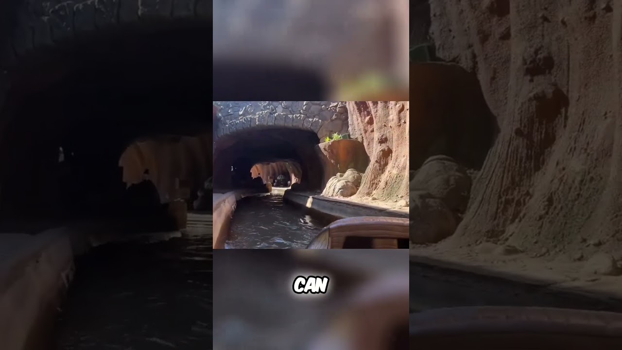 World of Color Virtual Queues - How to Get the BEST Viewing Spot!  Follow @MainStreetLeaks for more