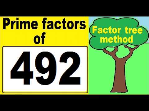Prime factors of 492. Prime factors decomposition of 492. Factor tree method.