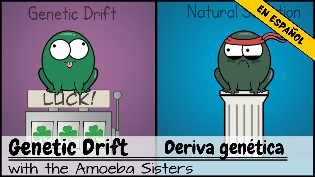 Genetic drift