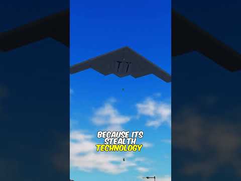 The SHOCKING Truth About the US Military B2 Program