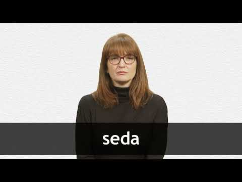 English Translation of “SEDA” | Collins Spanish-English Dictionary
