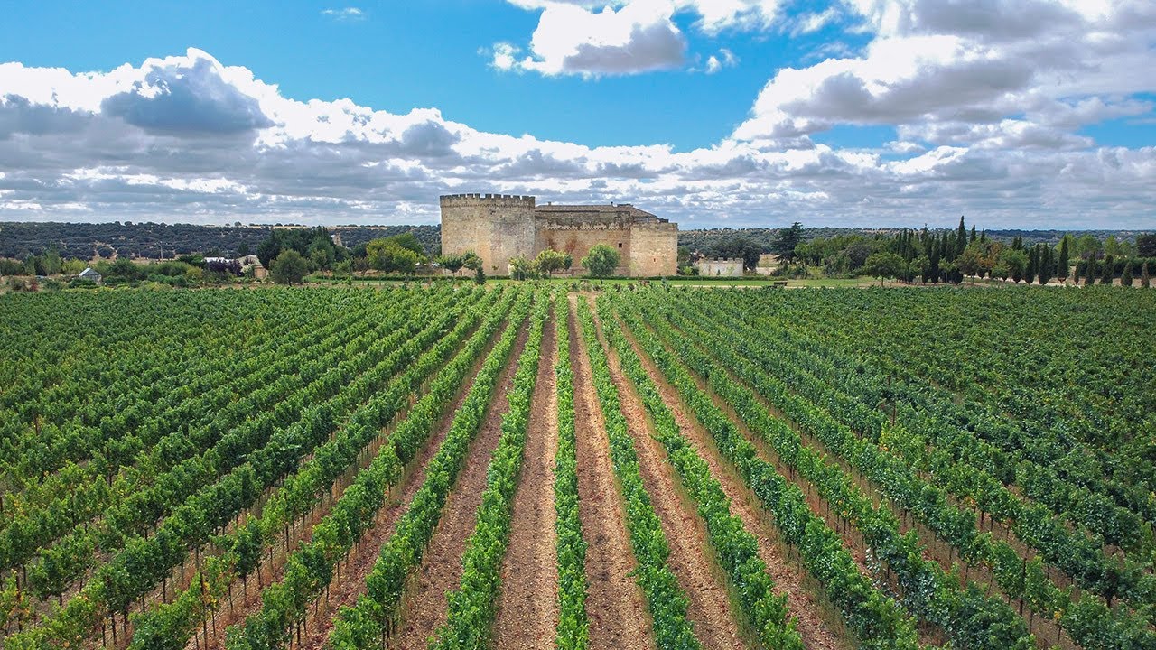 Castillo del Buen Amor - Winery in | Winetourism.com