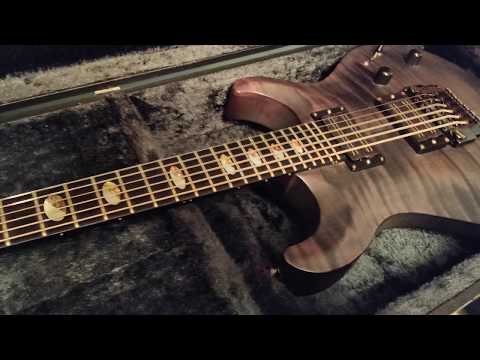 Caparison Angelus HGS Pro Trans Black | Reverb