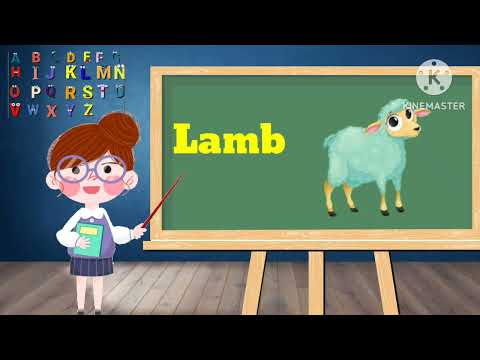 Words That Start With Letter L# Letter L For Toddlers And Preschoolers @happylearningkids481