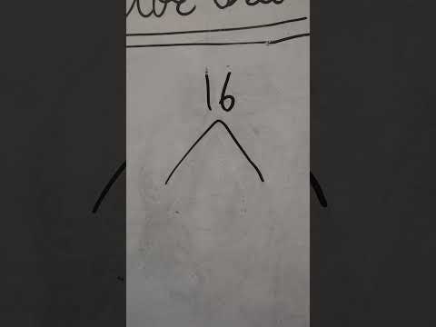 Factor tree of 16