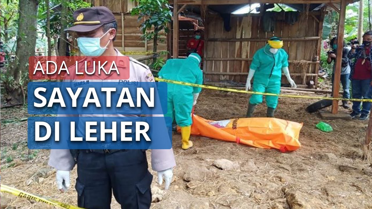 Sesosok Mayat Ditemukan di Tumpukan Jerami, Kondisi Membusuk dan Ada ...