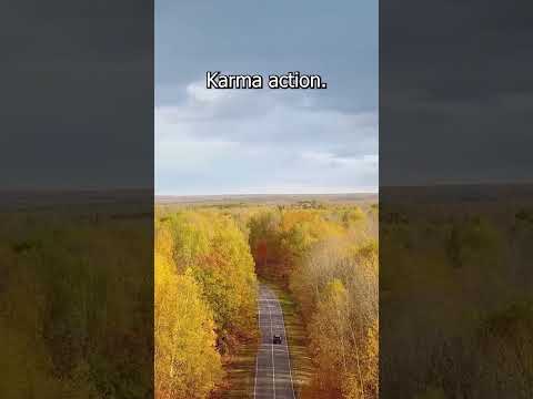 What Is Karma ? #2 Alan Watts About The Mysteries Of Life