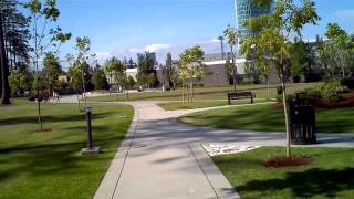 3 Best Public Parks in Surrey, BC - Expert Recommendations