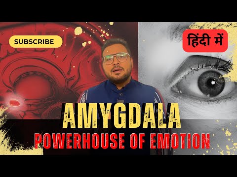 Control Your Amygdala for Stress-Free Living! in HINDI #amygdala #brain #mind #fear #leader #ptsd #m