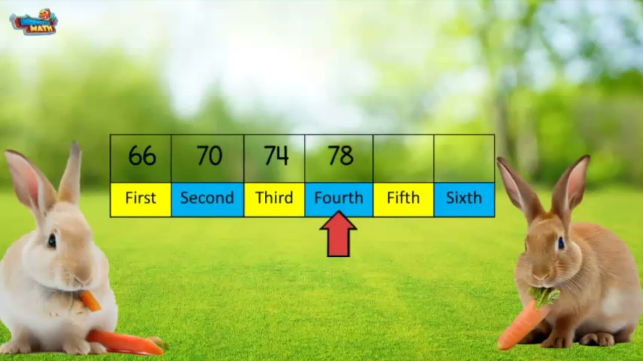 Skill Builder: Number Patterns | 3rd Grade Math