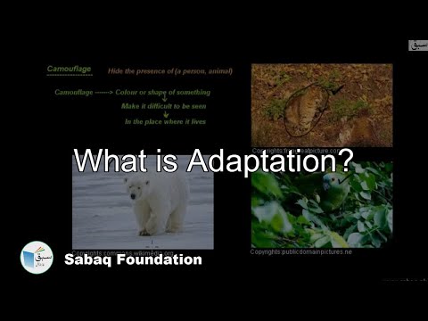 What is Adaptation?, General Science Lecture | Sabaq.pk