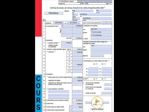Le cours sur le certificat de salaire à Luxembourg et le modèle 100F