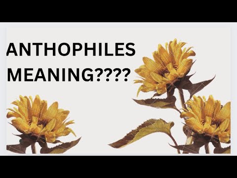 ANTHOPHILE MEANING IN URDU | Anthophile with sent example | Anthophile pronounciation