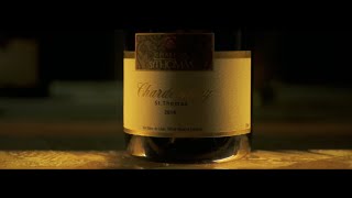 Portfolio – biloma