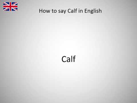 How to say Calf in English?