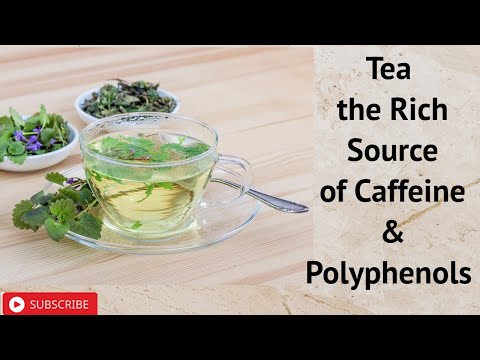 Tea the Rich Source of Caffeine & Polyphenols