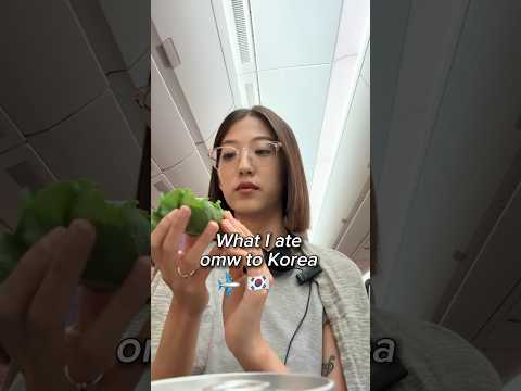 Korean airline food is next level⬆️