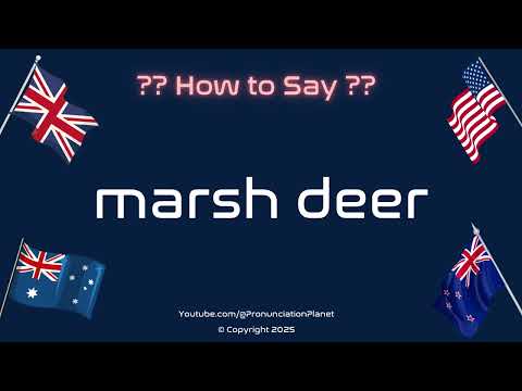 🦌🏞️ How to Pronounce Marsh Deer? (CORRECTLY) | Pronunciation Planet