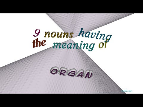 organ - 10 nouns synonym to organ (sentence examples)