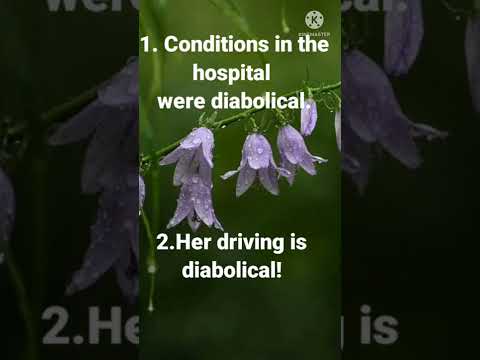 Word of the day #20 | Diabolical meaning in english with examples