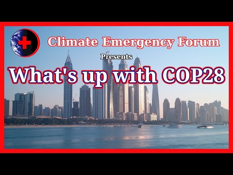 What's up with COP28