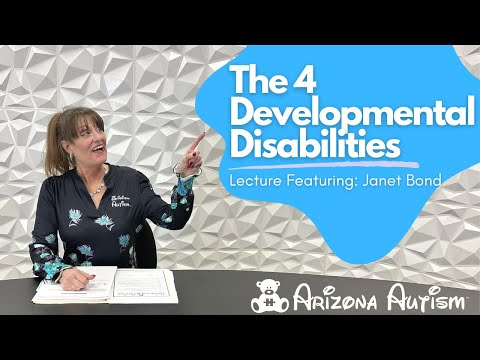 The 4 Developmental Disabilities