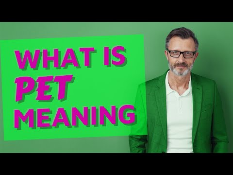 Pet | Meaning of pet